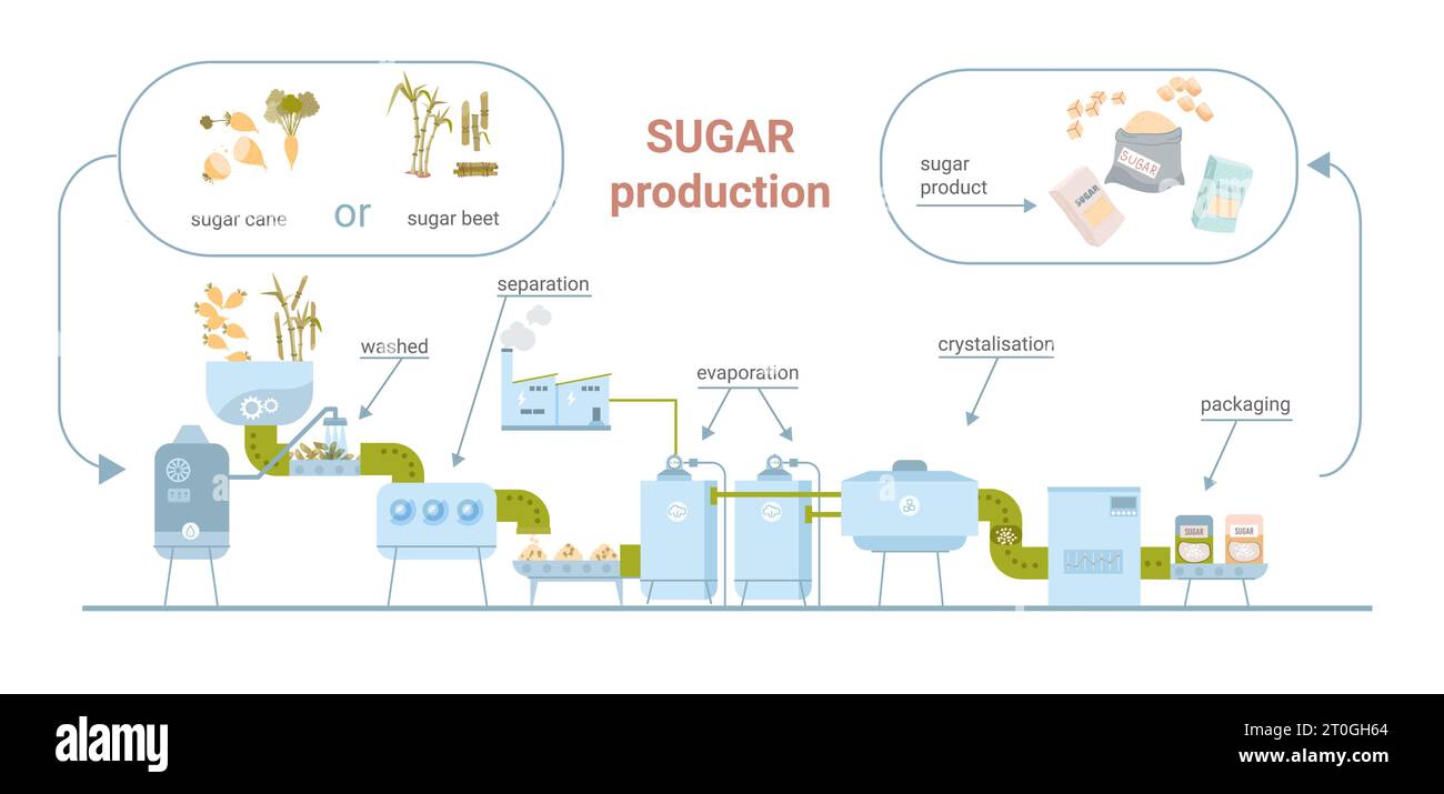 Sugar production flat infographic composition with view of factory line ...