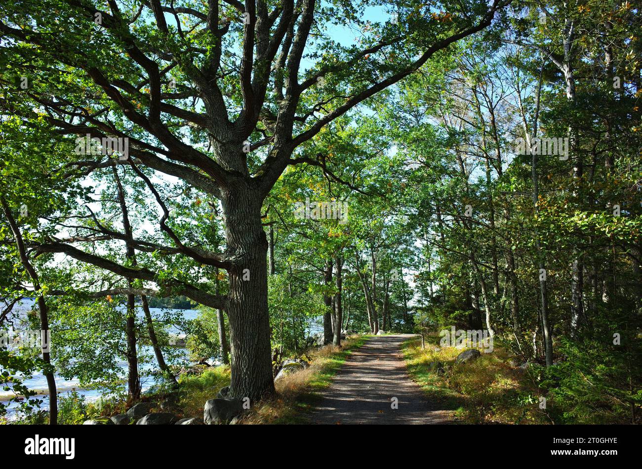 Bjorno island hi-res stock photography and images - Alamy
