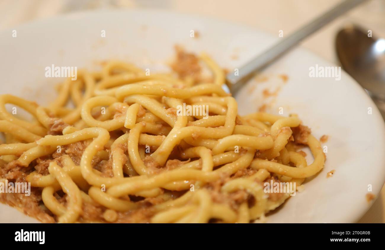 big spaghetti called BIGOLI with cooked duck meat is the typical dish ...