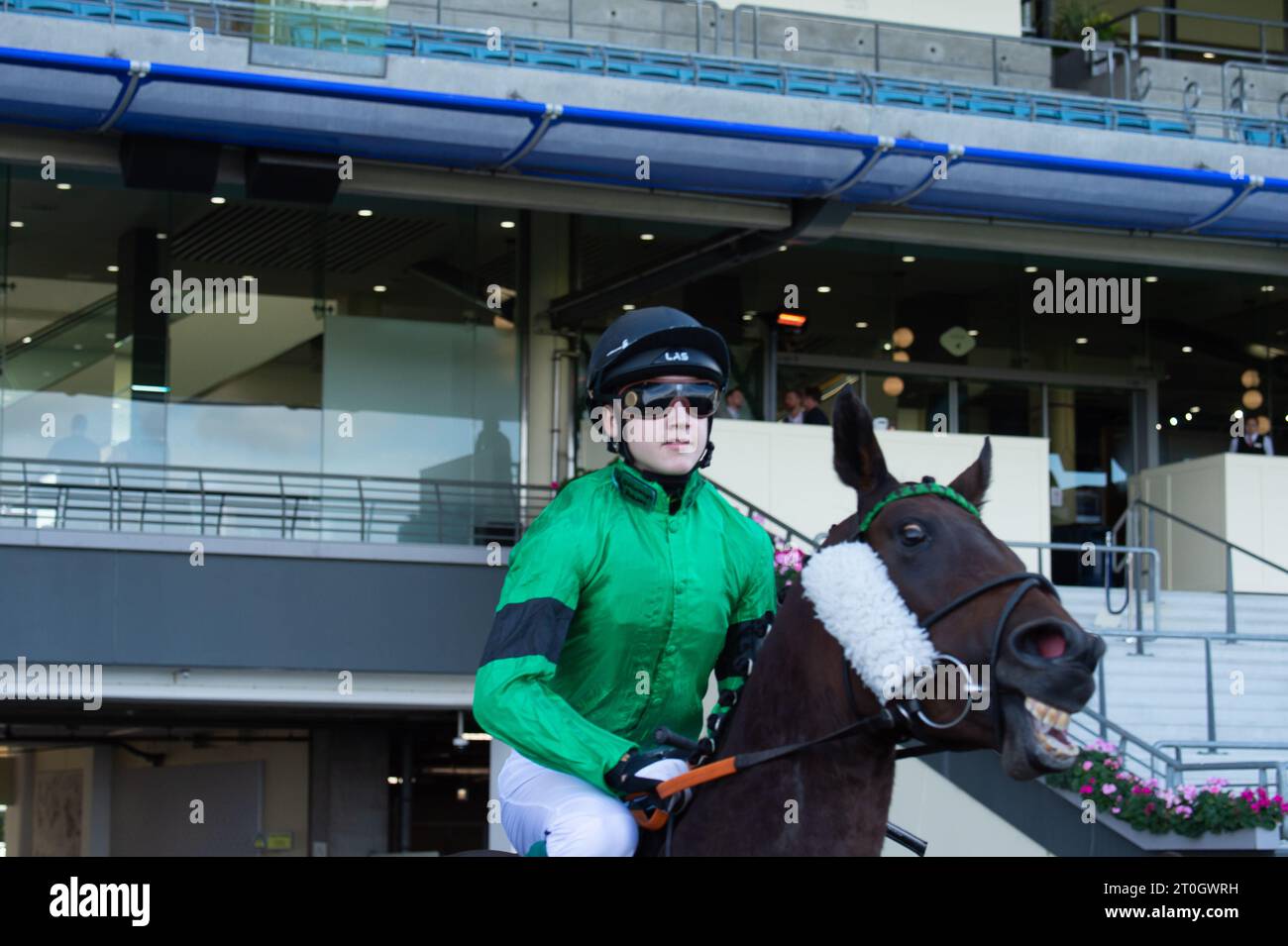 Mr paul kavanagh hi-res stock photography and images - Alamy