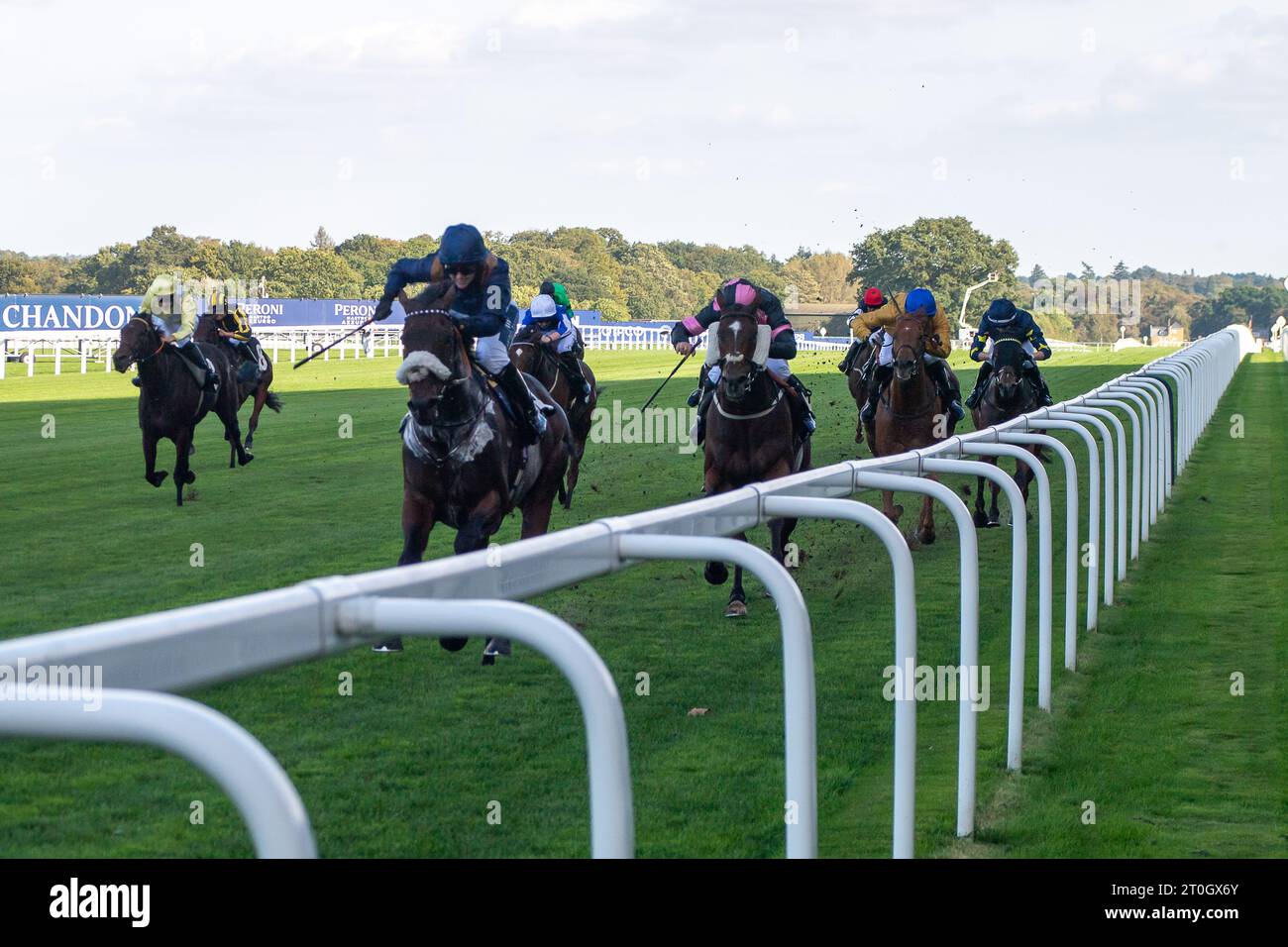 Jockey miss b hampson hi-res stock photography and images - Alamy