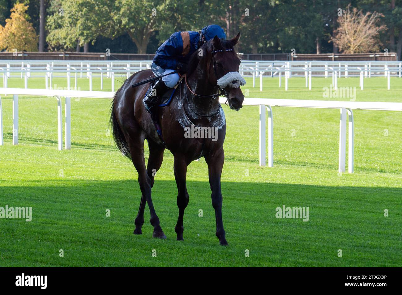 Miss great britain 2023 hi-res stock photography and images - Alamy