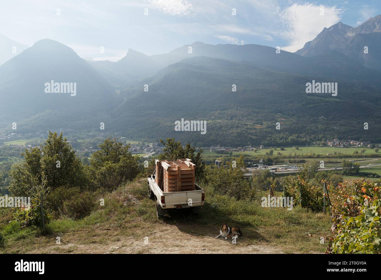 Tractor trailer carrying trailer hi-res stock photography and images ...