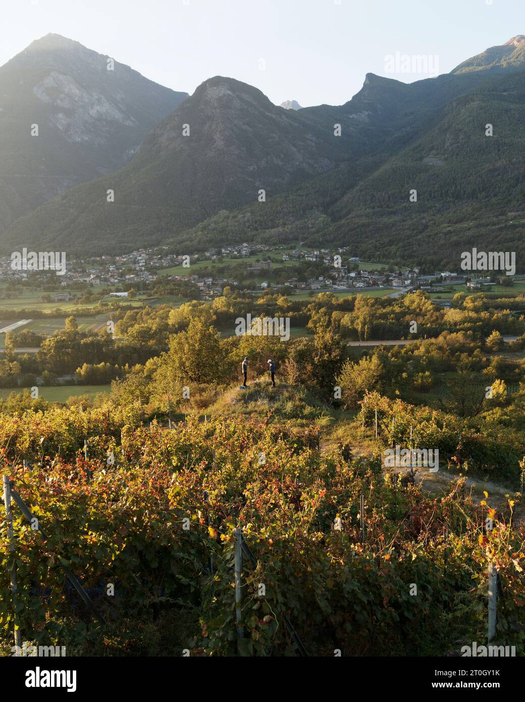 Two men stand on a hill between a vineyard in Nus and the town of Fenis ...