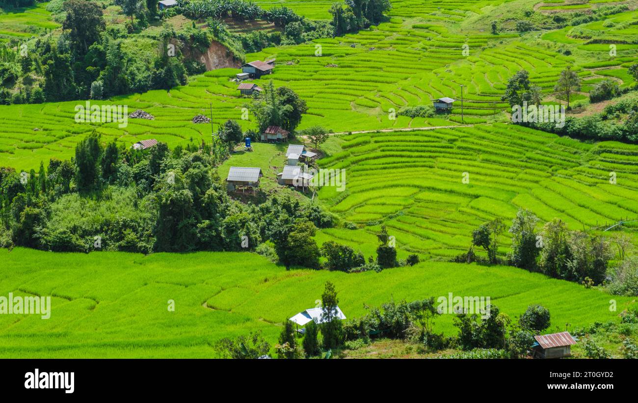 Terraced Rice paddy Field in Chiangmai during the green rain season ...