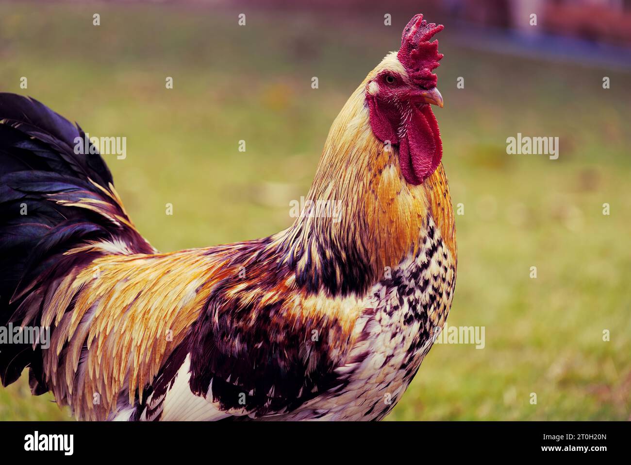 Real life depiction hi-res stock photography and images - Alamy