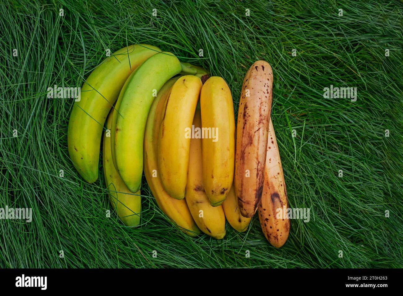 Nutritional value of bananas hi-res stock photography and images - Alamy
