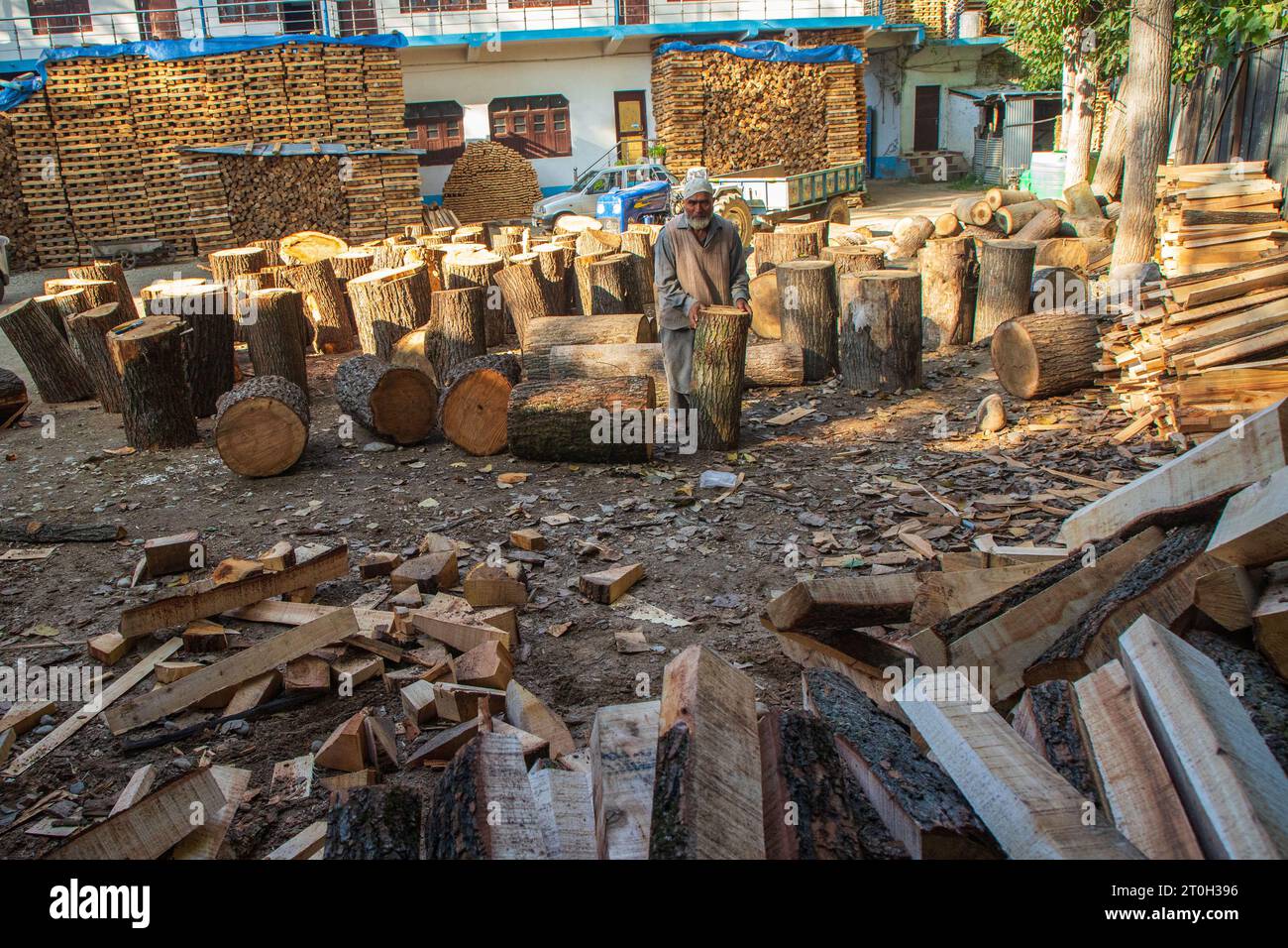 Kashmir, India. 2nd Oct, 2023. View of a Kashmiri willow cleft factory ...