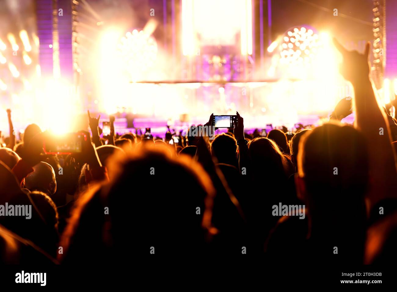 The crowd on the dance floor during the music show, happy people with ...