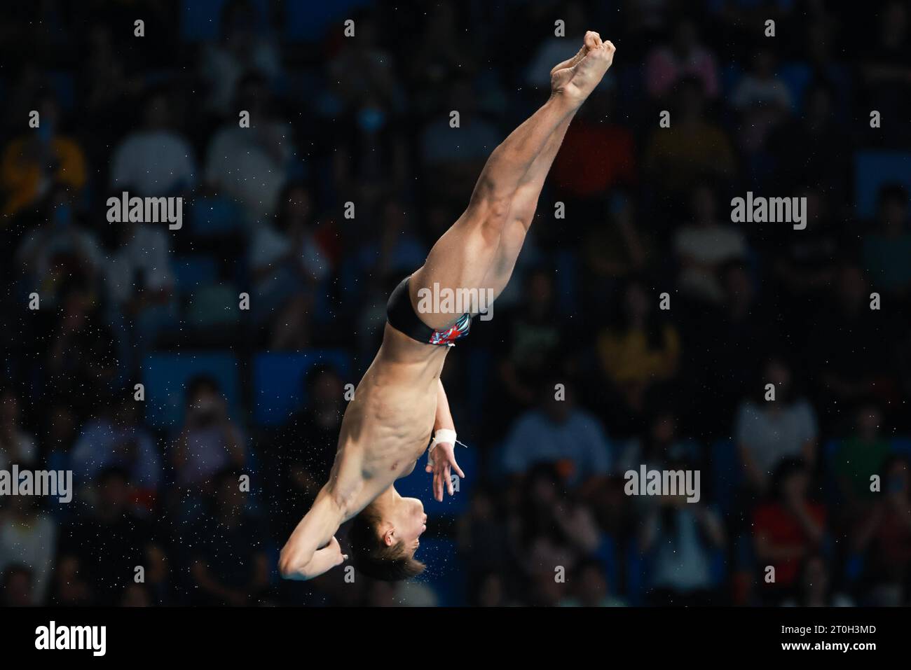 Chinese divers Yang Hao, Bai Yuming win championship, runner up at the ...