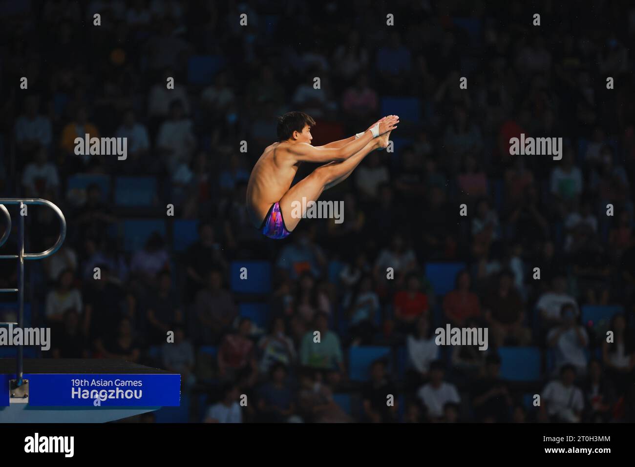 Chinese divers Yang Hao, Bai Yuming win championship, runner up at the ...