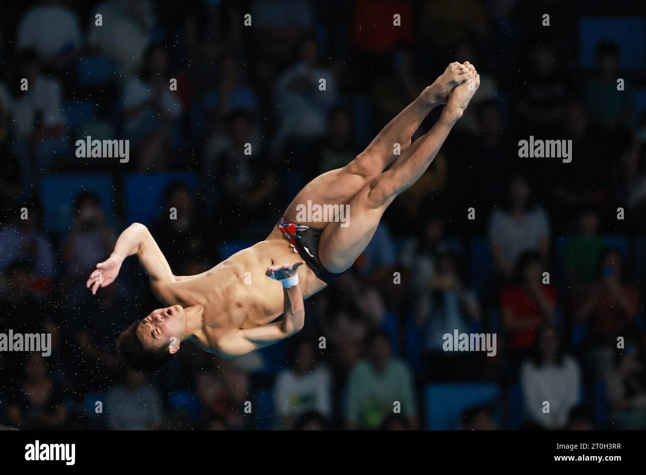 Chinese divers Yang Hao, Bai Yuming win championship, runner up at the ...