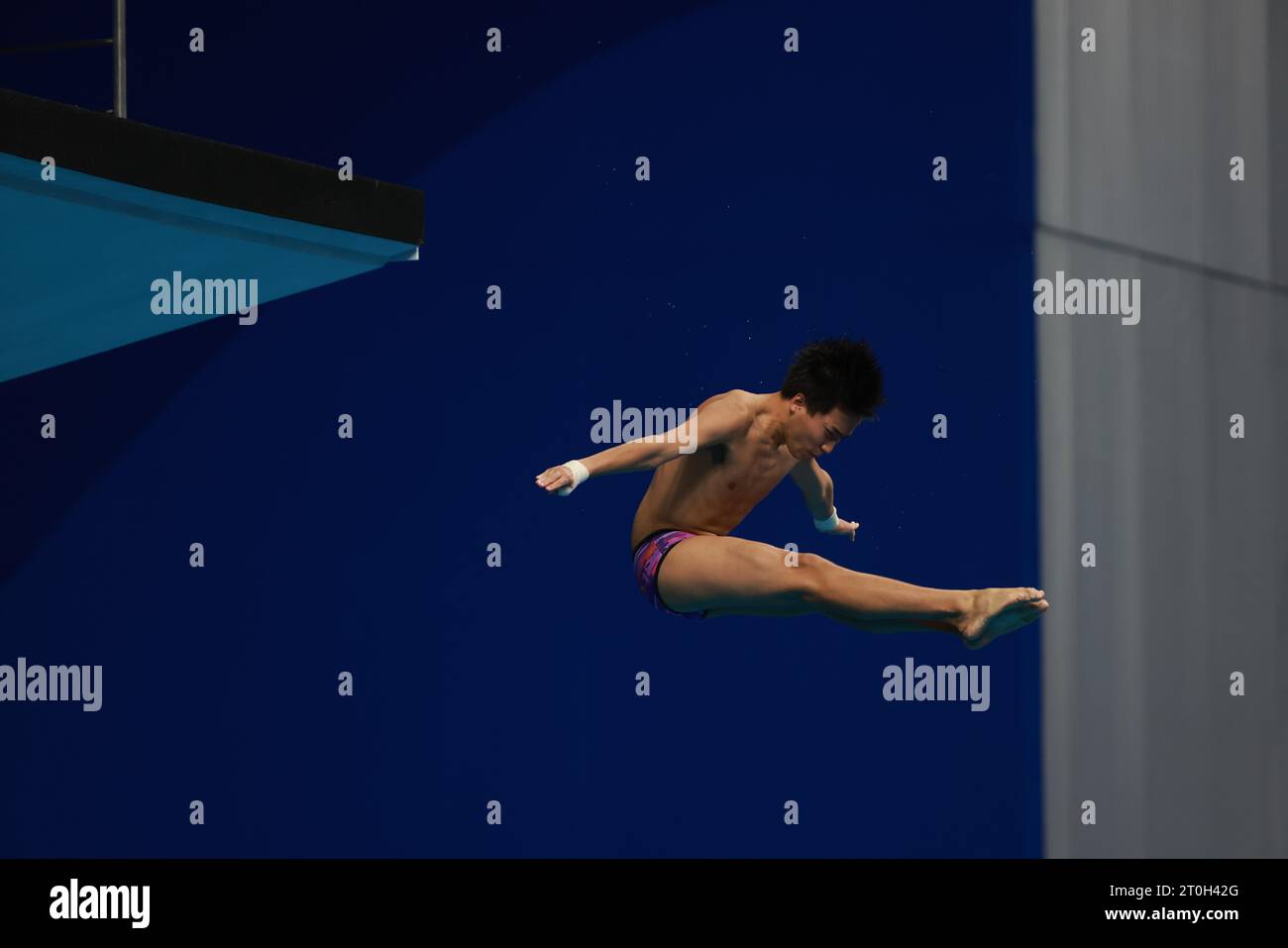 Chinese divers Yang Hao, Bai Yuming win championship, runner up at the ...