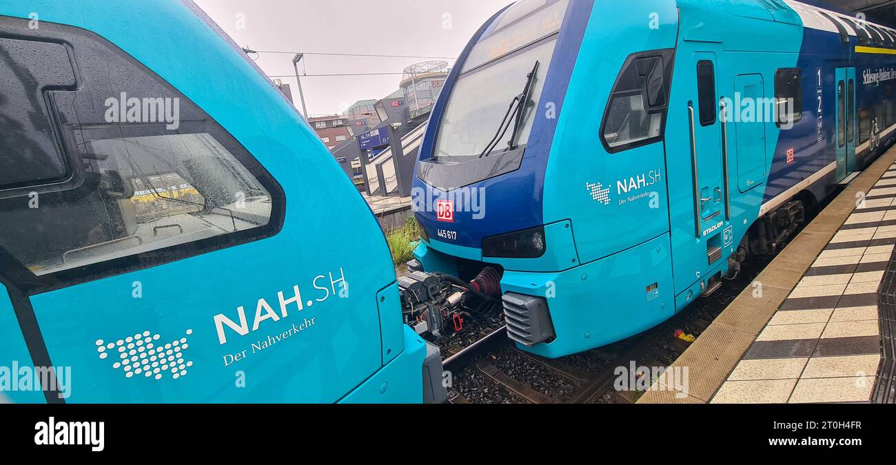 Triebwagen des Herstellers Stadler vom Typ Flirt am Hamburger ...