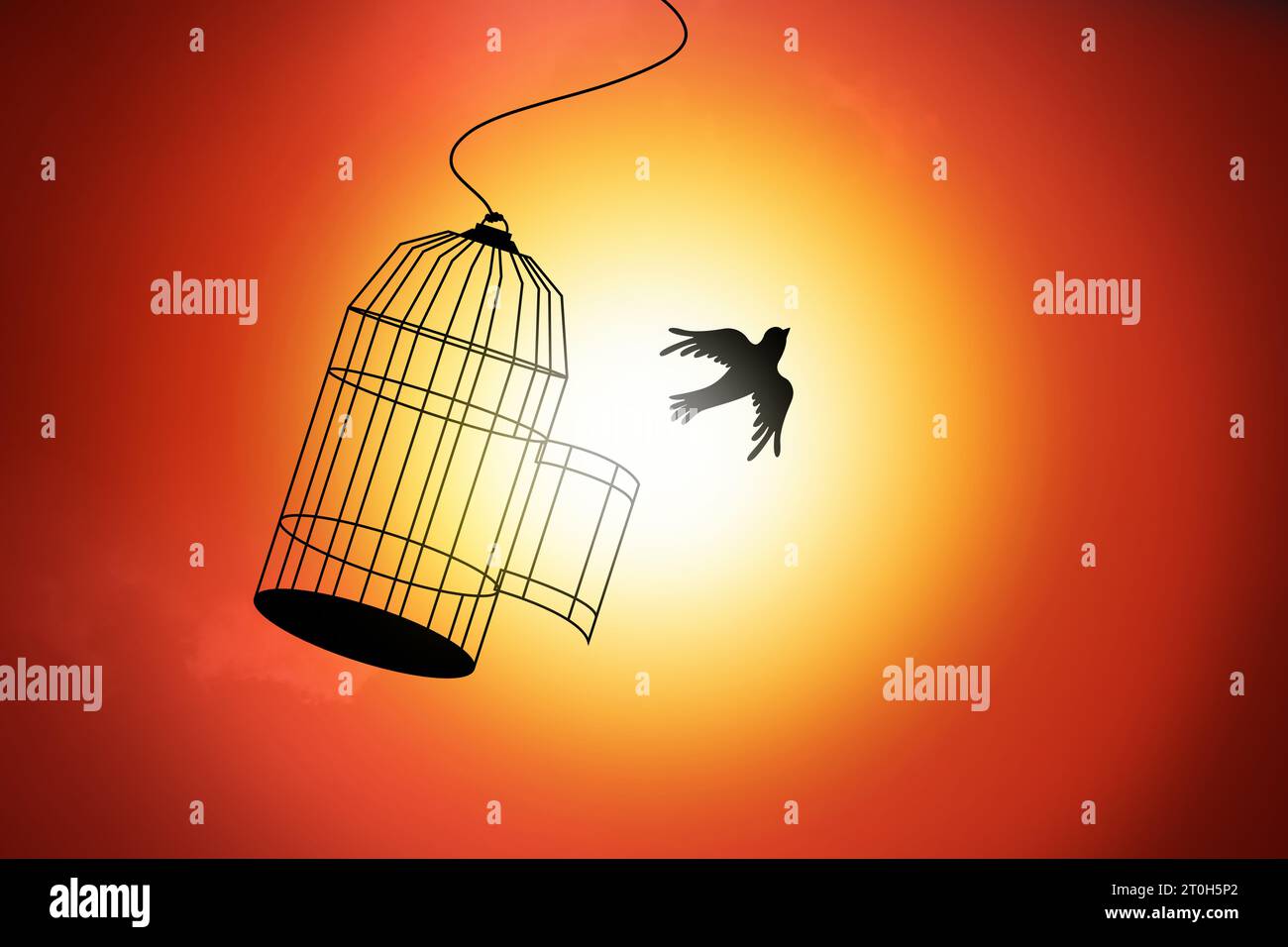 Freedom. Bird flying out of open cage against sun, illustration Stock ...