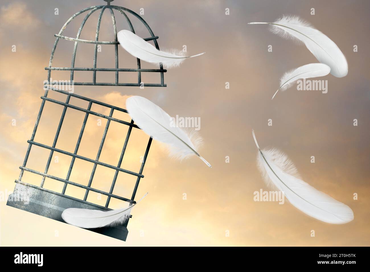 Freedom. Feathers of released bird and open cage into sky Stock Photo ...