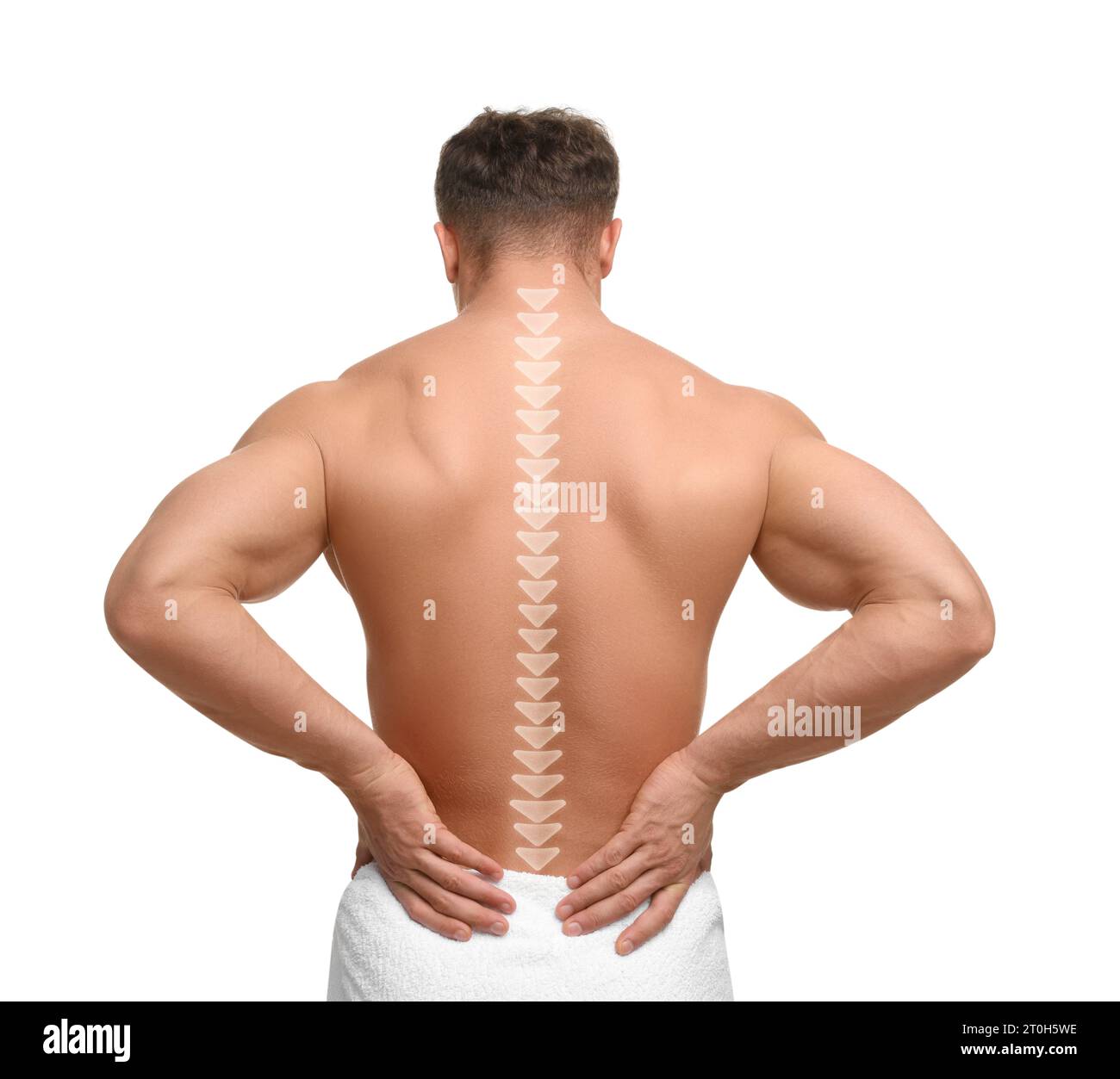 Muscular man on white background, back view. Illustration of spine ...