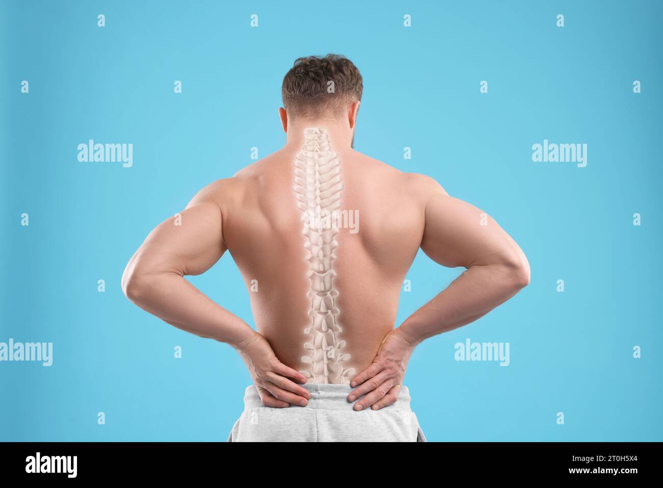 Muscular man on light blue background, back view. Illustration of spine ...