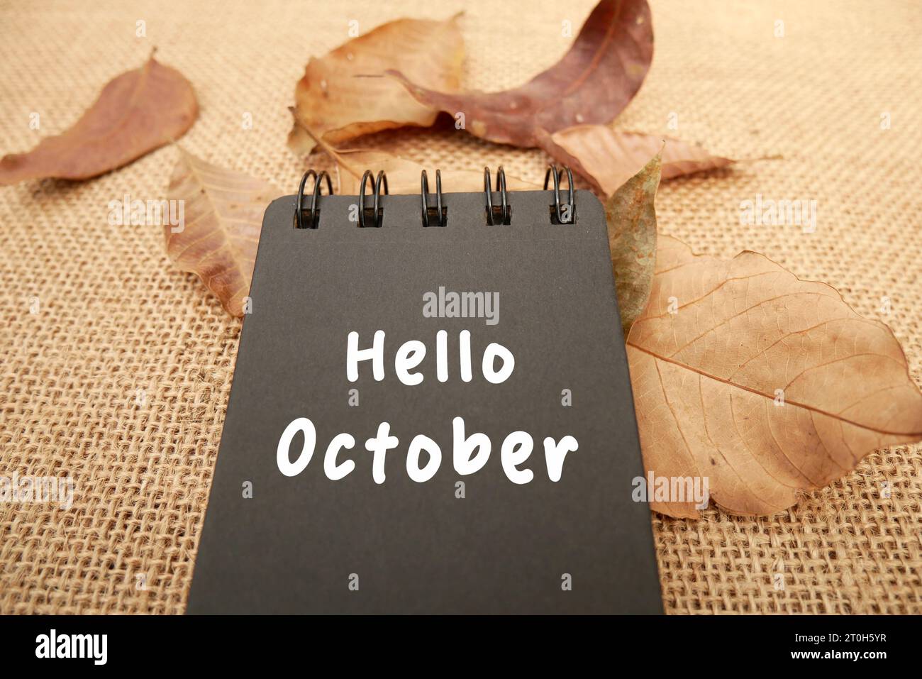 "Hello October" writing on spiral black notebook on burlap with ...