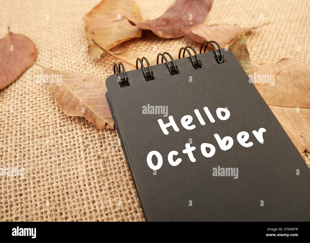 "Hello October" writing on spiral black notebook on burlap with ...