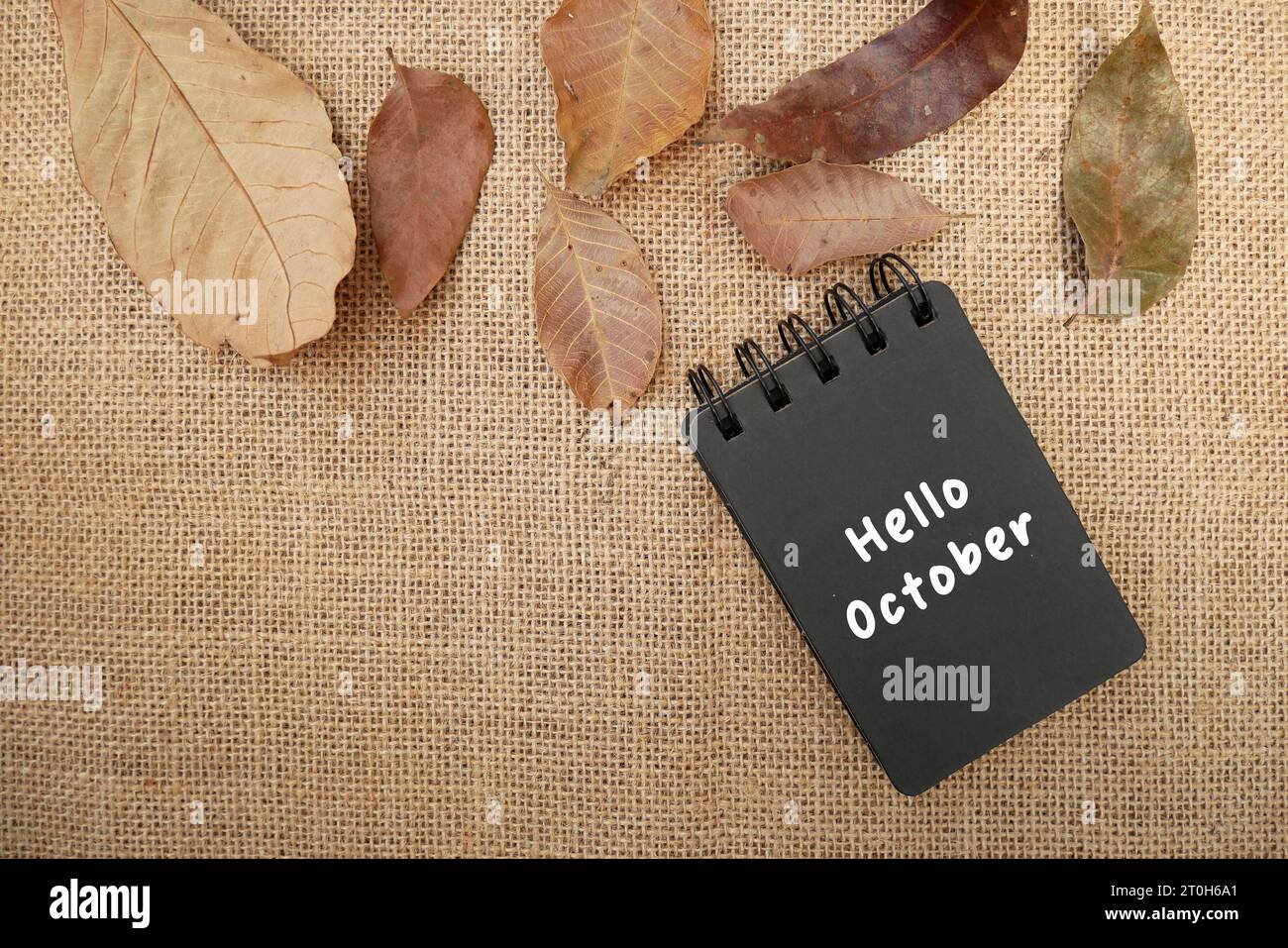 "Hello October" writing on spiral black notebook on burlap with ...