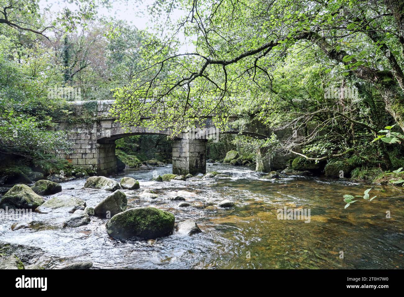 Denstrology hi-res stock photography and images - Alamy