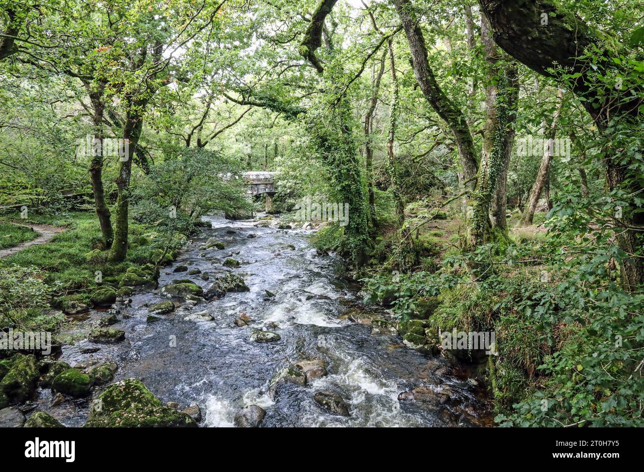The old stone bridge at Shaugh where the Rivers Plym and Meavy meet ...