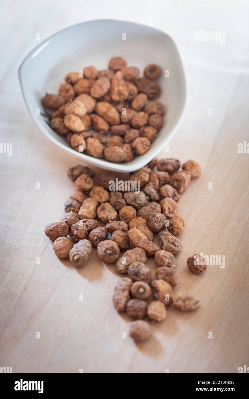 Tiger nut (Cyperus esculentus) from Guadalest Stock Photo - Alamy