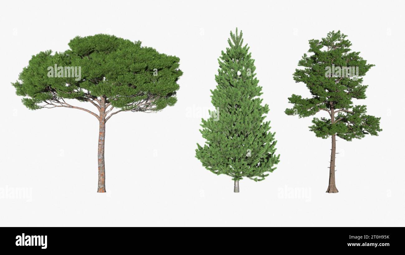 Collection of beautiful trees isolated on white background.Used for ...