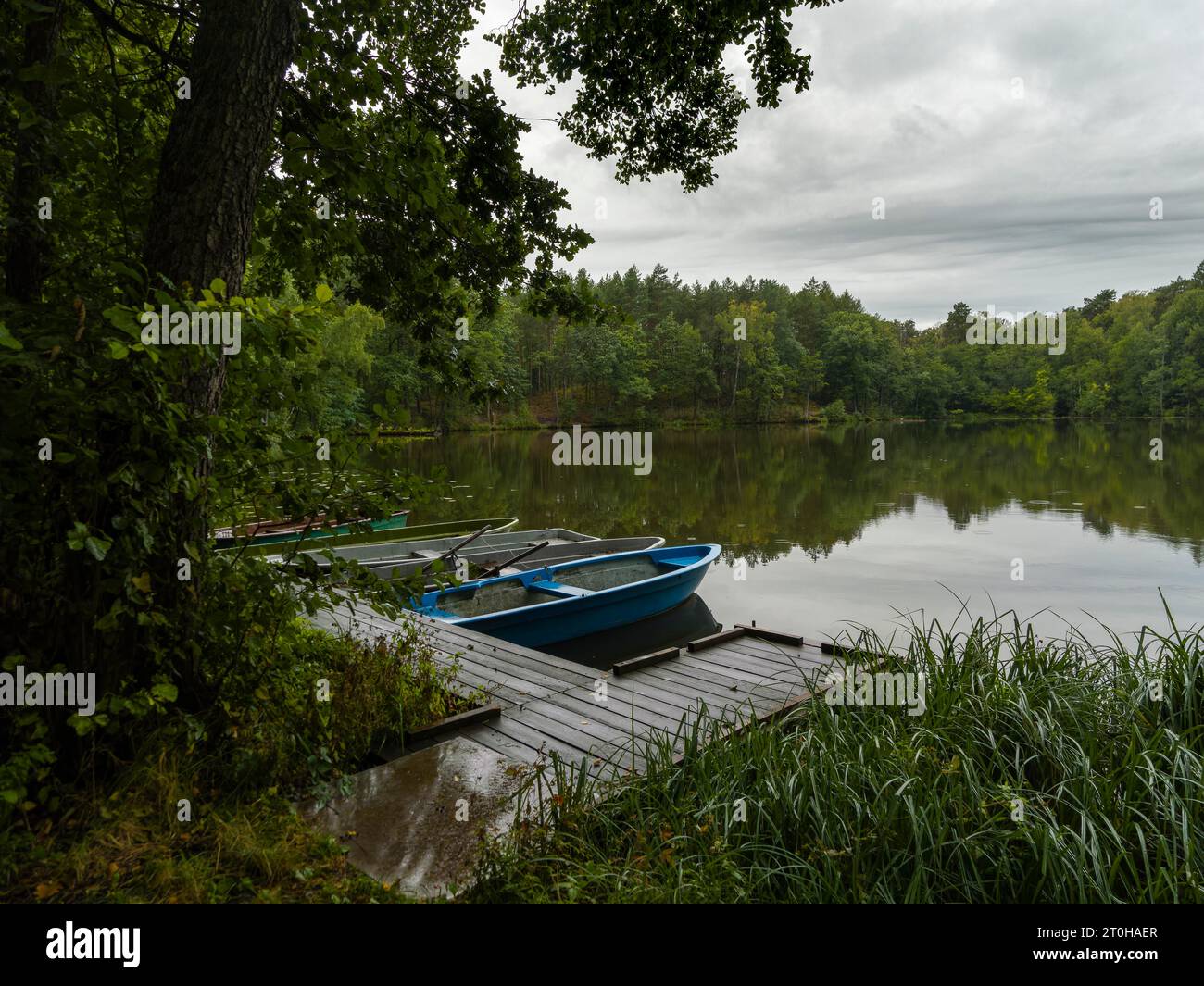 Fishing barges on a jetty in a heath lake near Koethen, Lower Spree ...