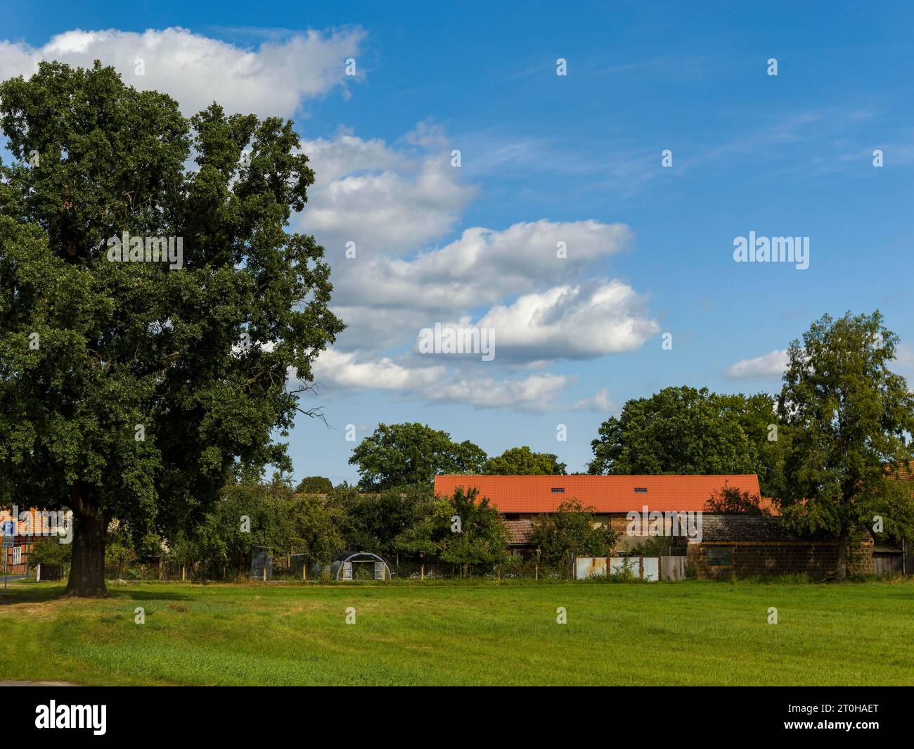 Old farm with barn in village on edge of meadow, Schlepzig, Spreewald ...