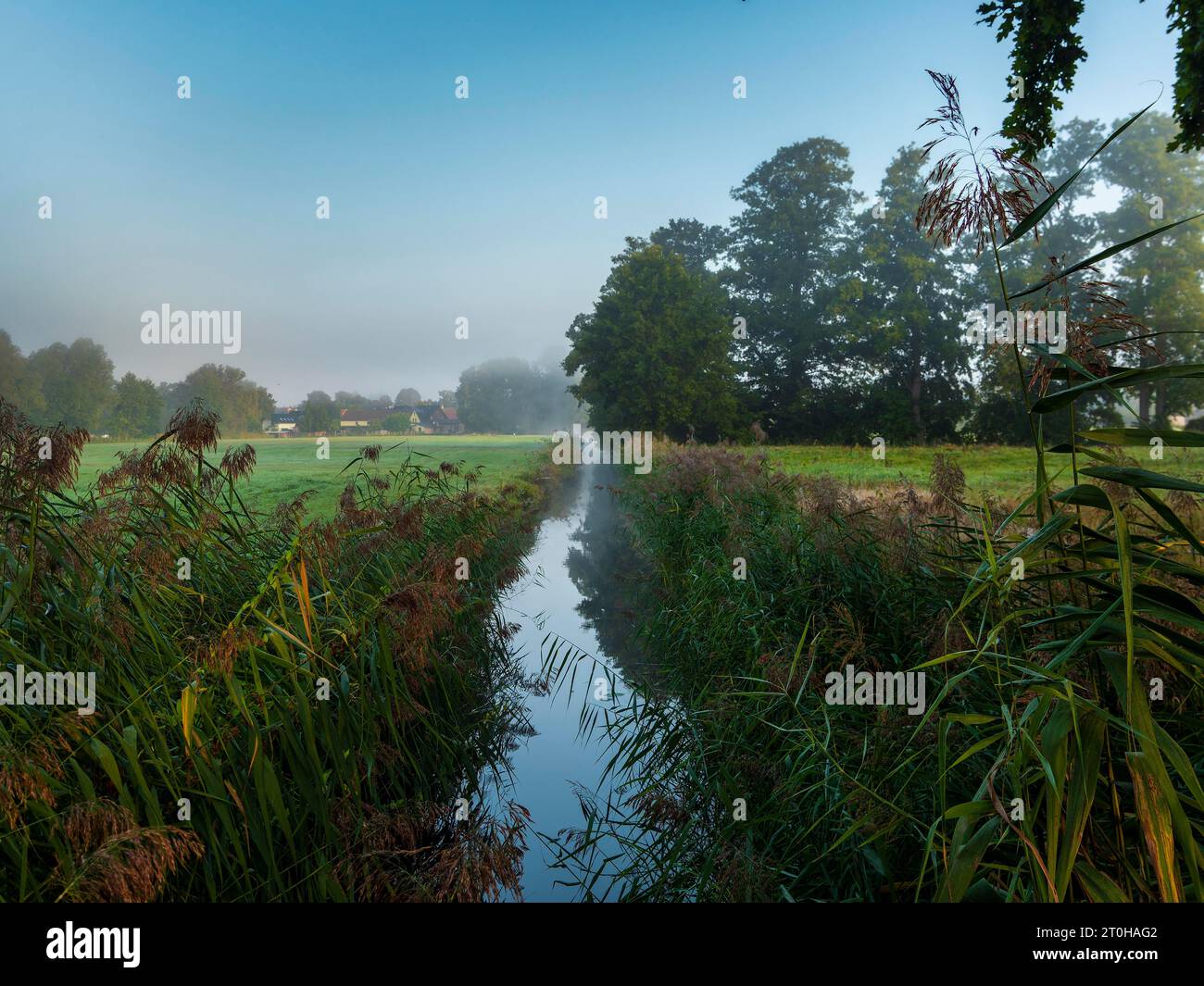 Reeds along stream meadows hi-res stock photography and images - Alamy