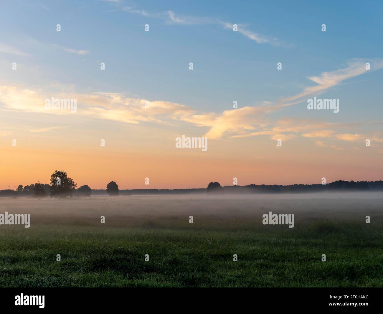 Fog over the wide meadows, floodplain landscape, Schlepzig, Brandenburg ...