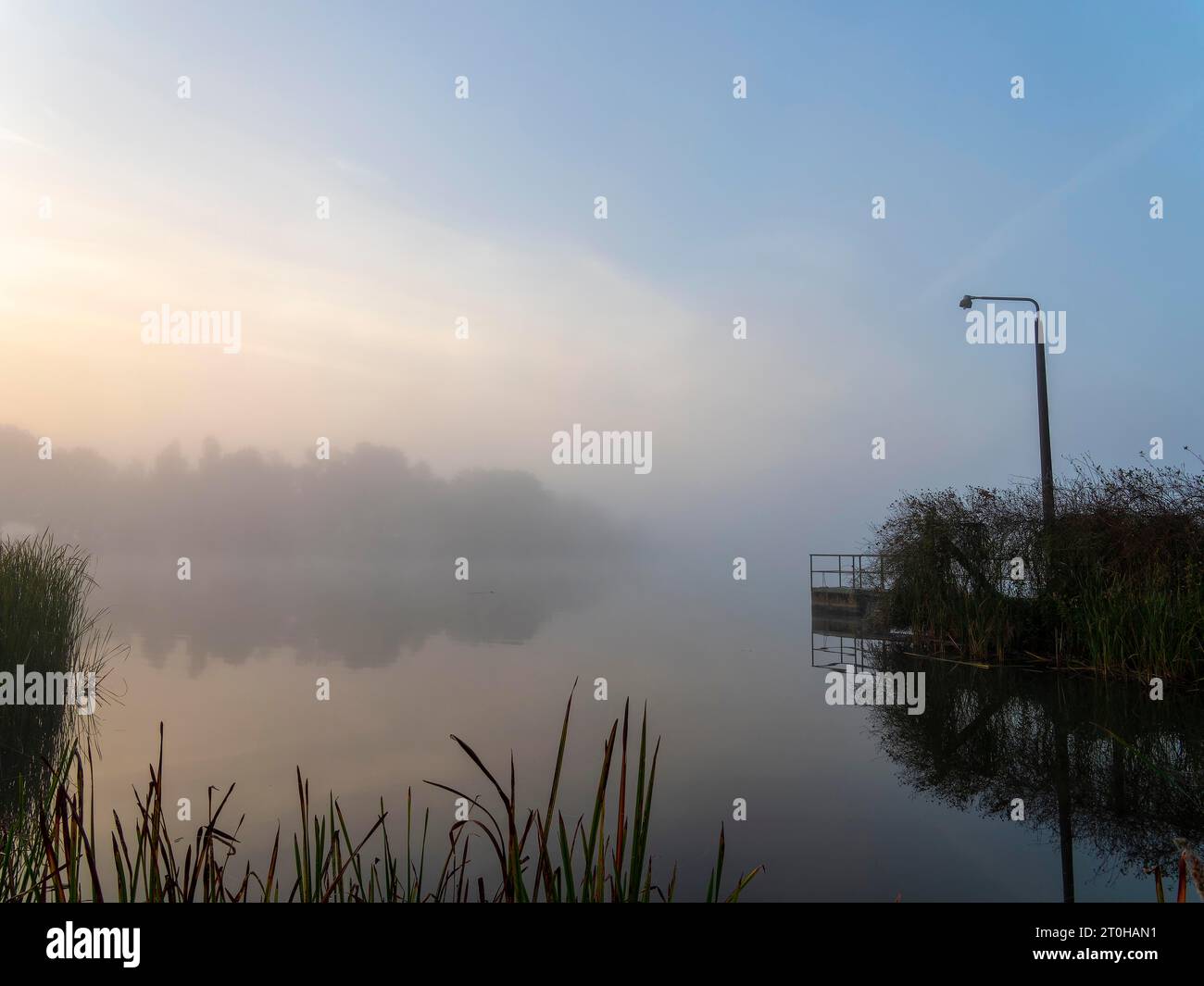 Fog, jetty and lantern by the lake, magical landscape, reeds and ponds ...