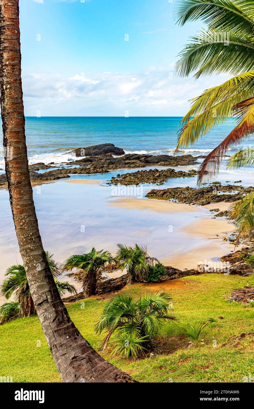 Rocky beach among the coconut trees and vegetation of Serra Grande on ...