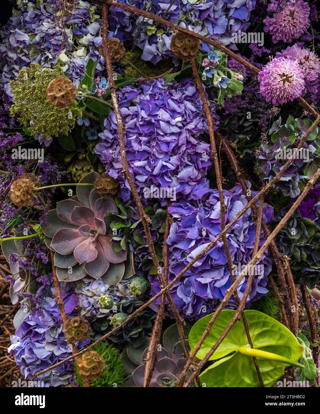 Floral displays in the great pavilion at the Chelsea Flower Show 2023 ...