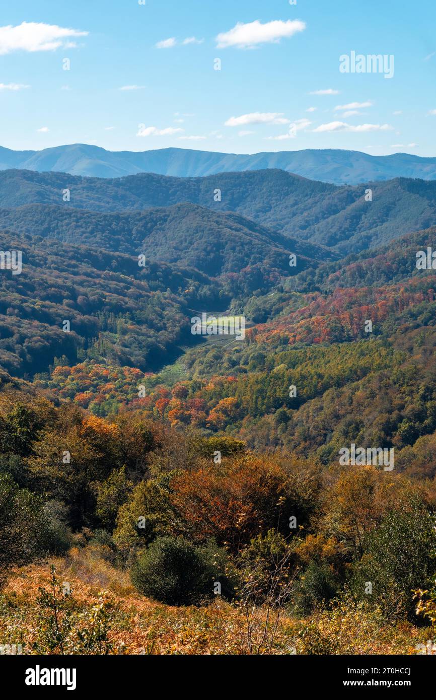 Gorgeous fall colors in the Artikutza natural park between Oiartzun and ...