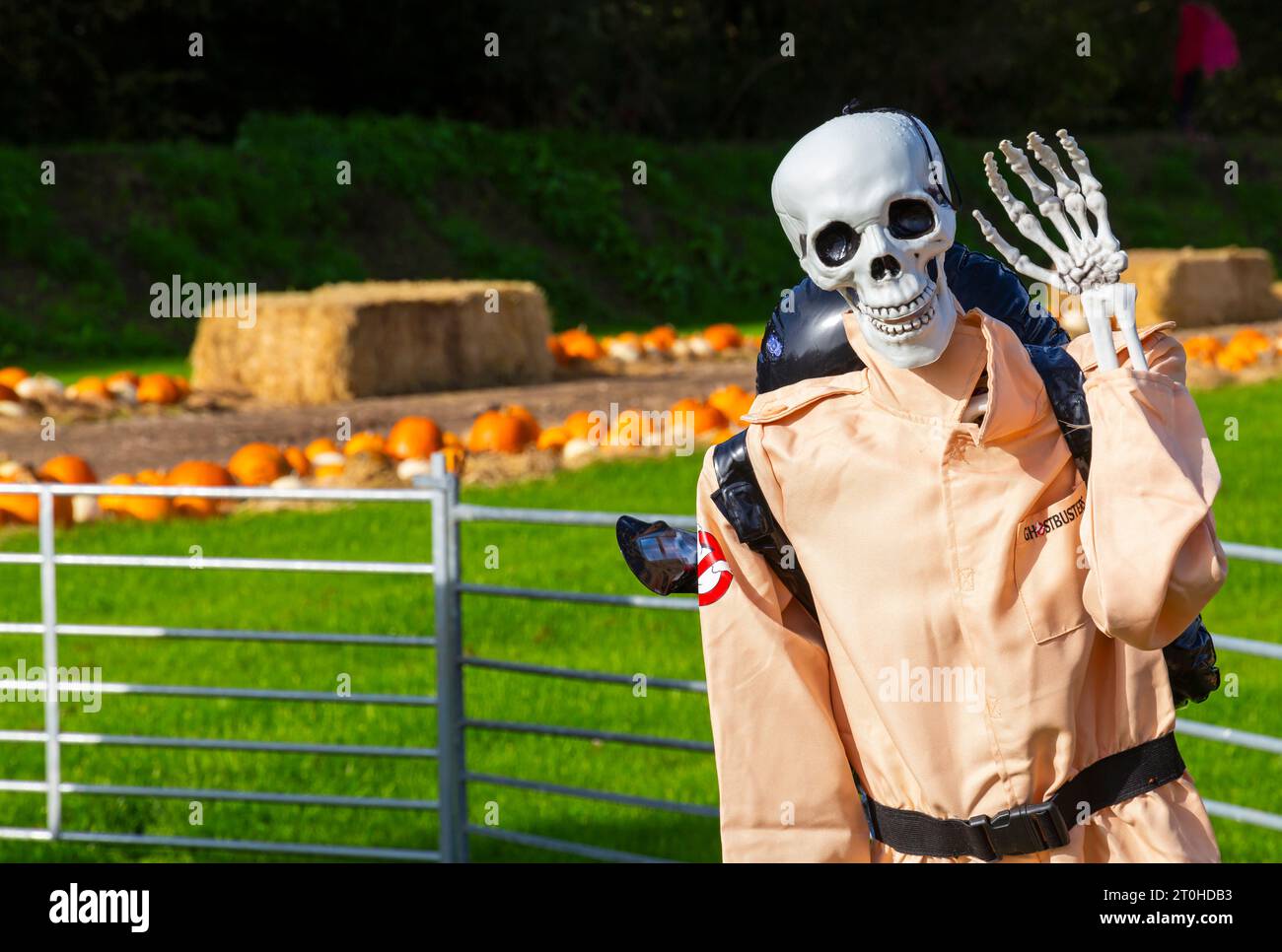 Ghostbusters skeleton hi-res stock photography and images - Alamy