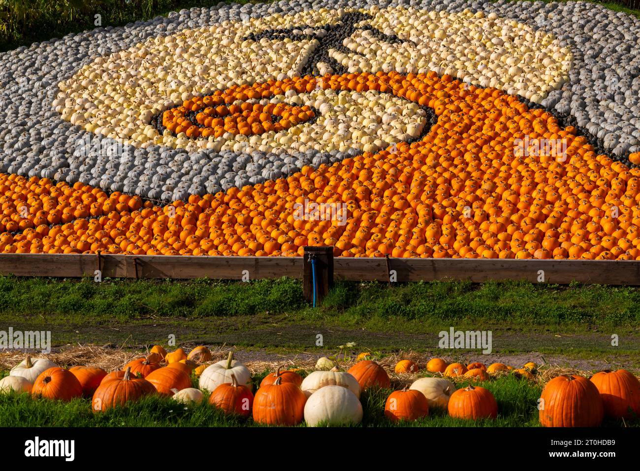 Display event a cjenks hi-res stock photography and images - Alamy