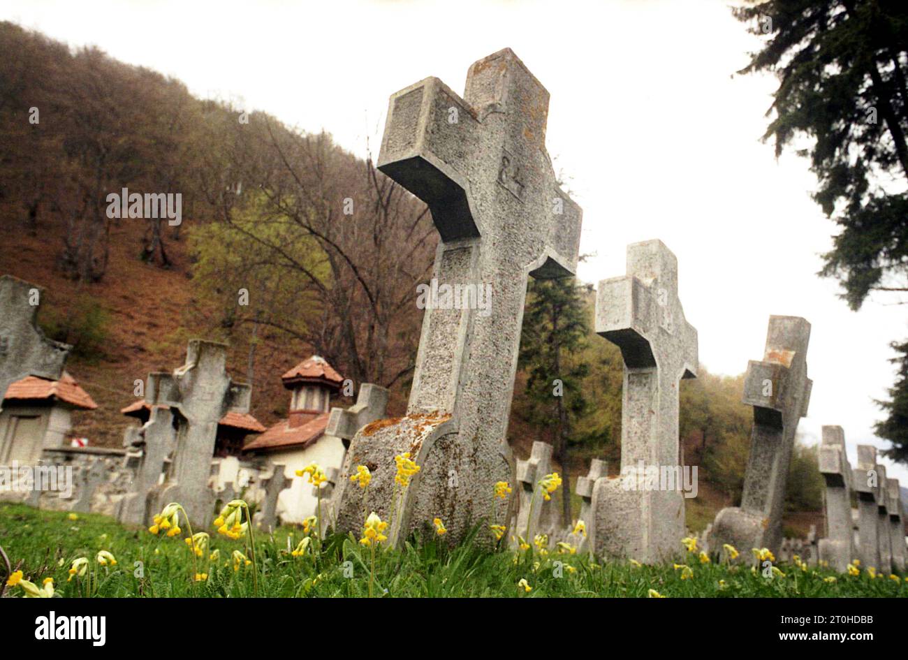 Dragoslavele, Arges County, Romania, 2001. Cemetery for the German ...