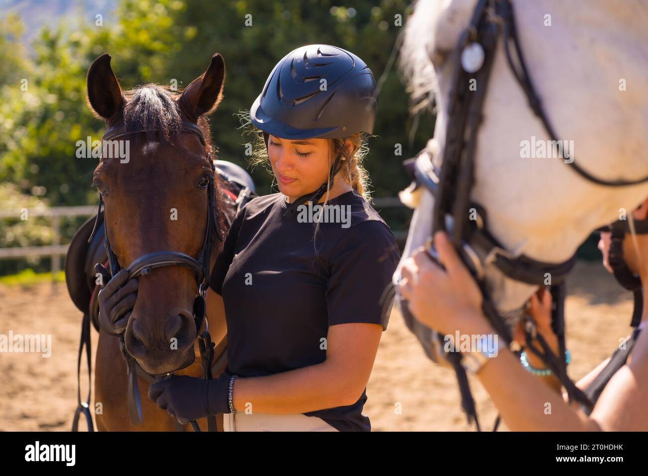 Posing of two young Caucasian girls riders with their white and brown ...