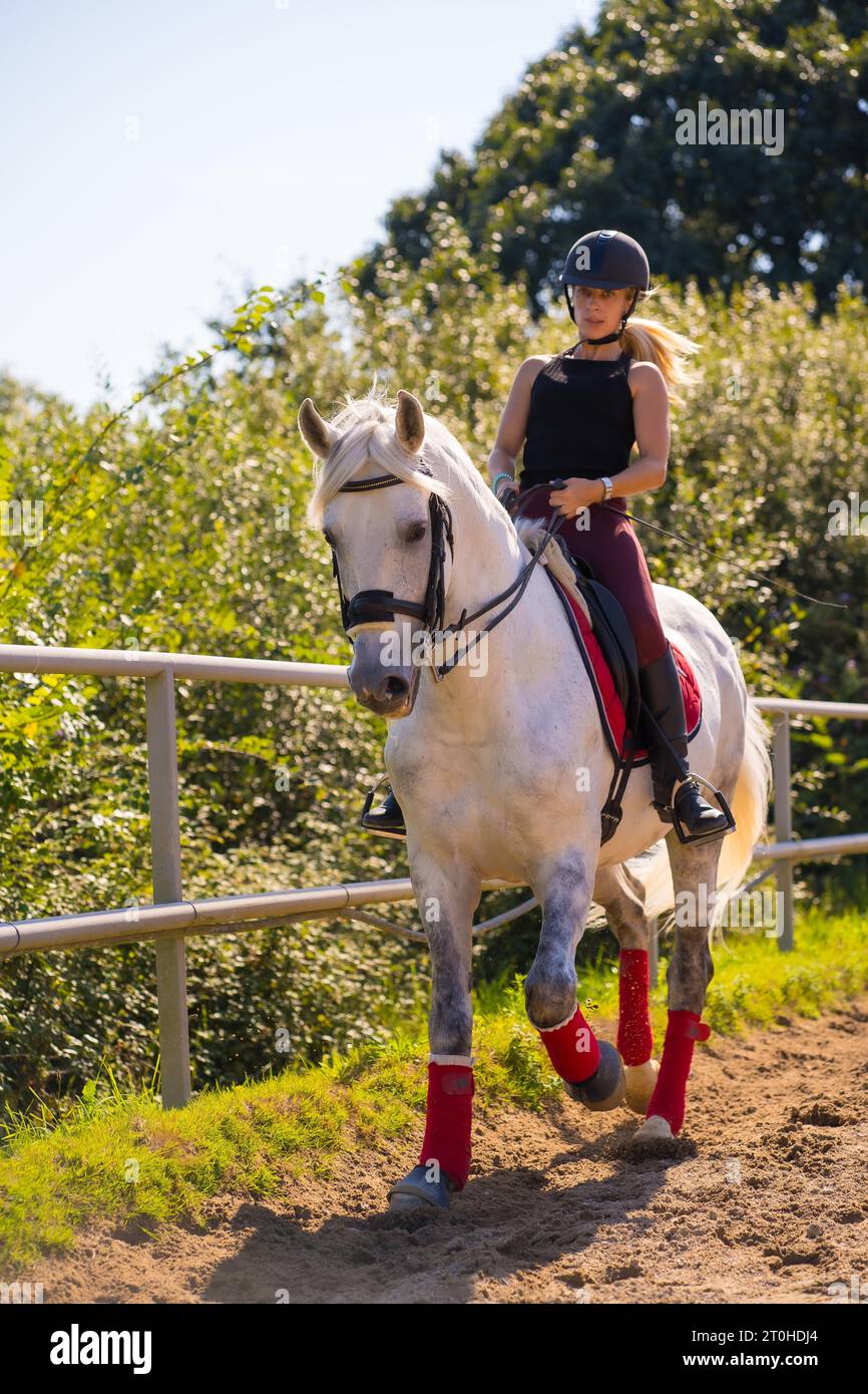 Jockey horse training black and white hi-res stock photography and ...