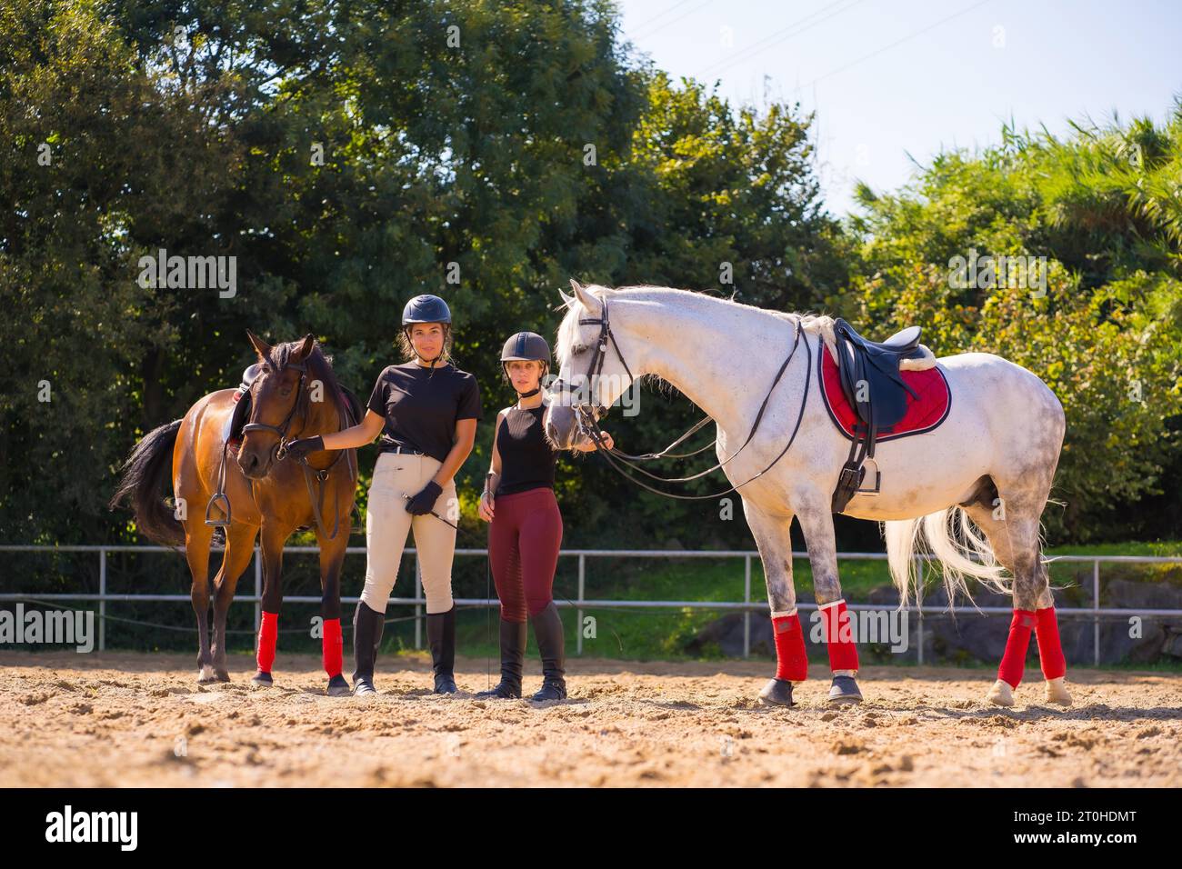 Two young Caucasian girl riders having fun with their white and brown ...
