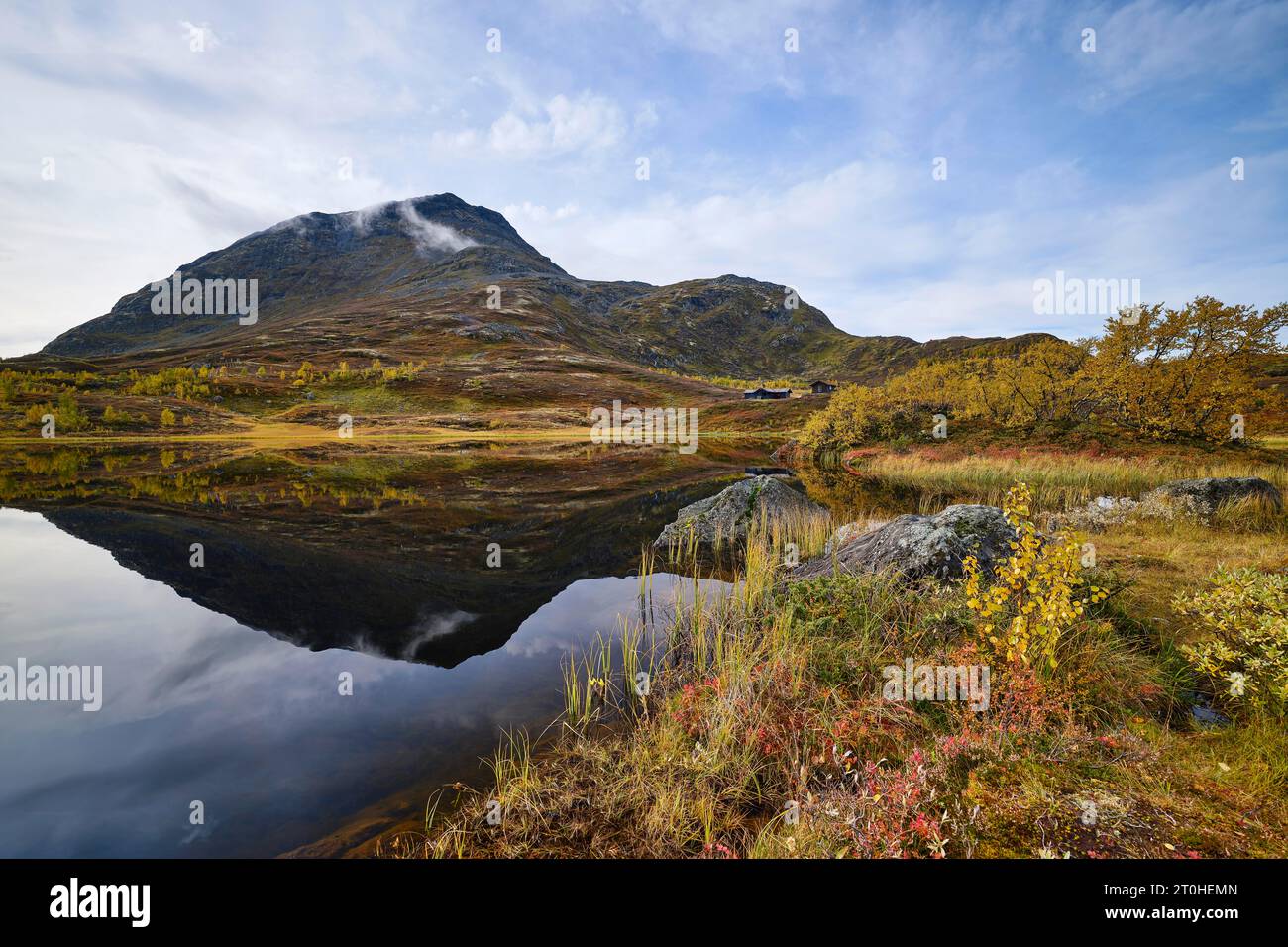 Mountain reflected in bog lake, autumn, Ovre Halsatjonnen, Sognefjellet ...