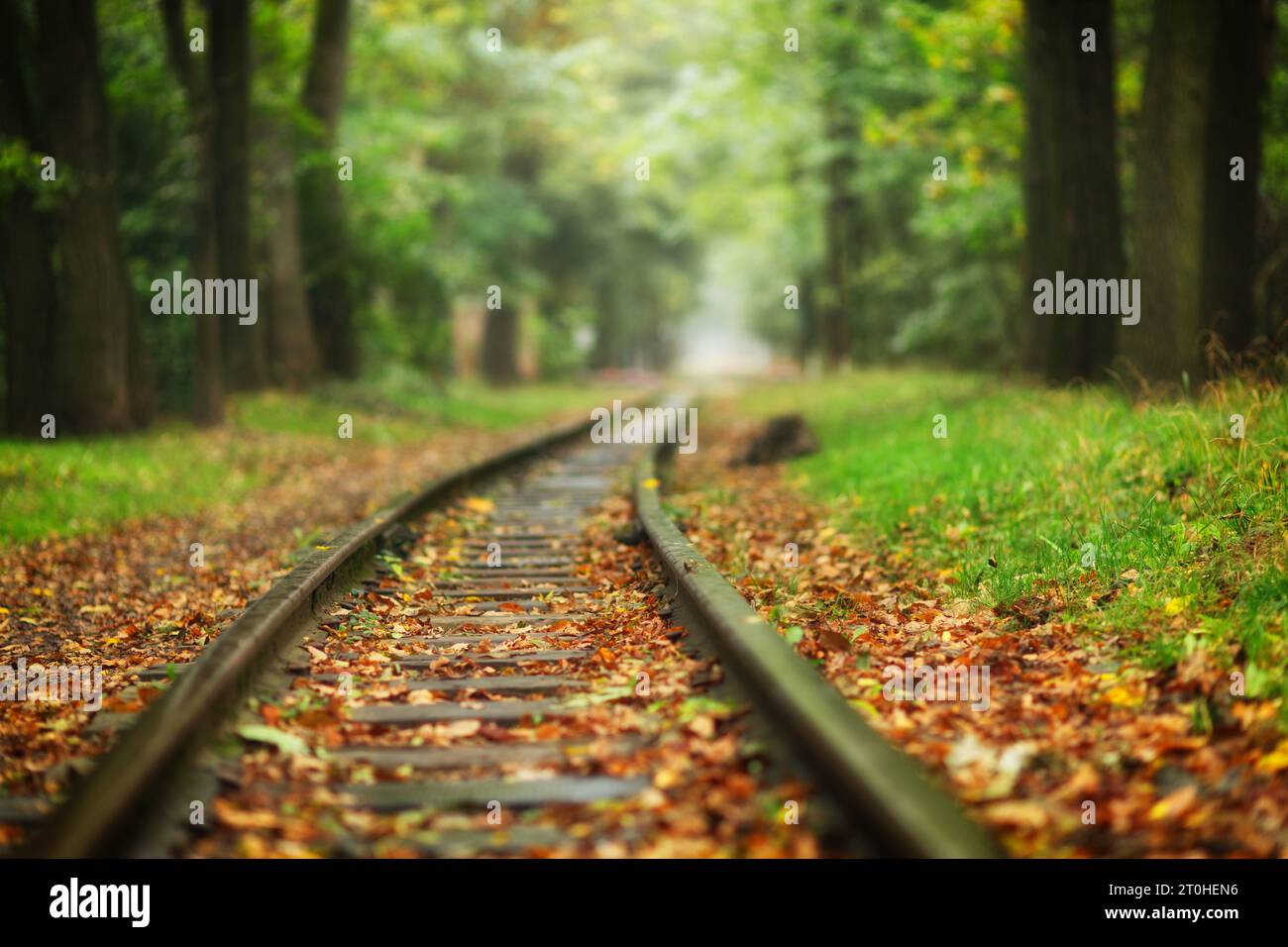 Beautiful railway track hi-res stock photography and images - Alamy