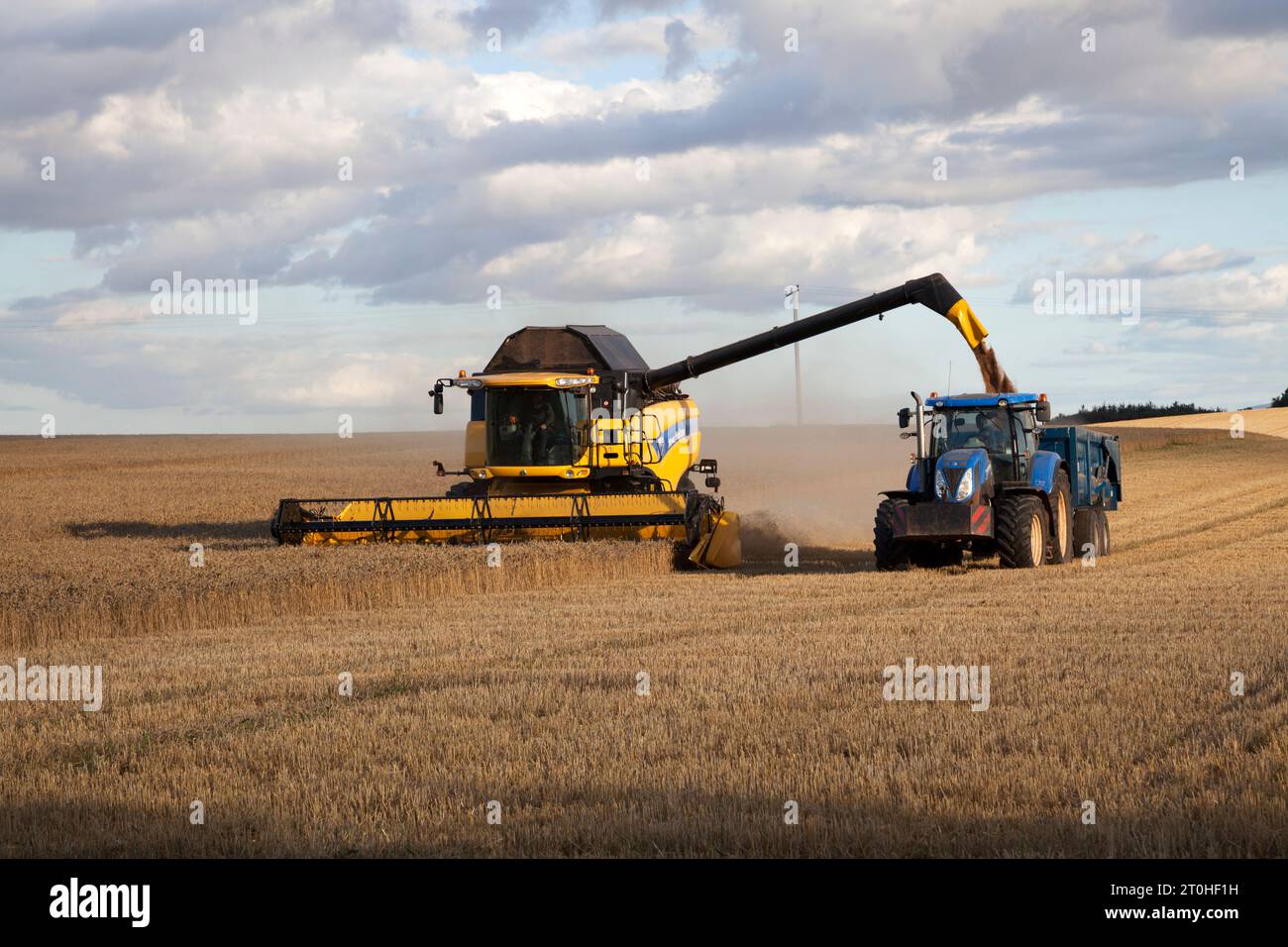 New Holland Combine Harvester unloading to a tractor and trailer ...