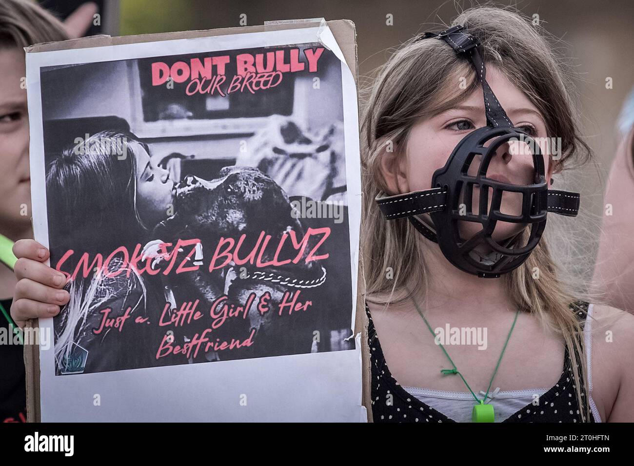 Xl bully dog hi-res stock photography and images - Alamy