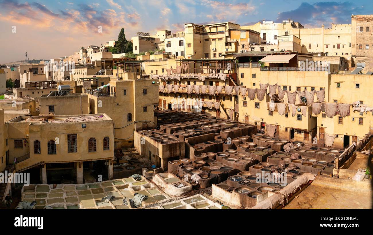 Traditional tannery where tanners dye leather in Fes city, Morocco. Tan ...