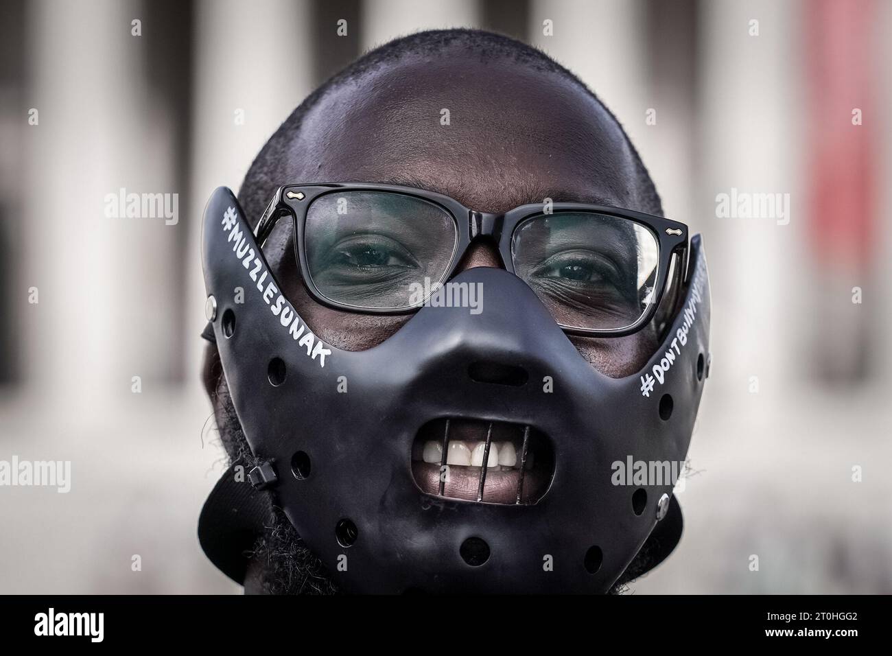 Xl bully dog hi-res stock photography and images - Alamy