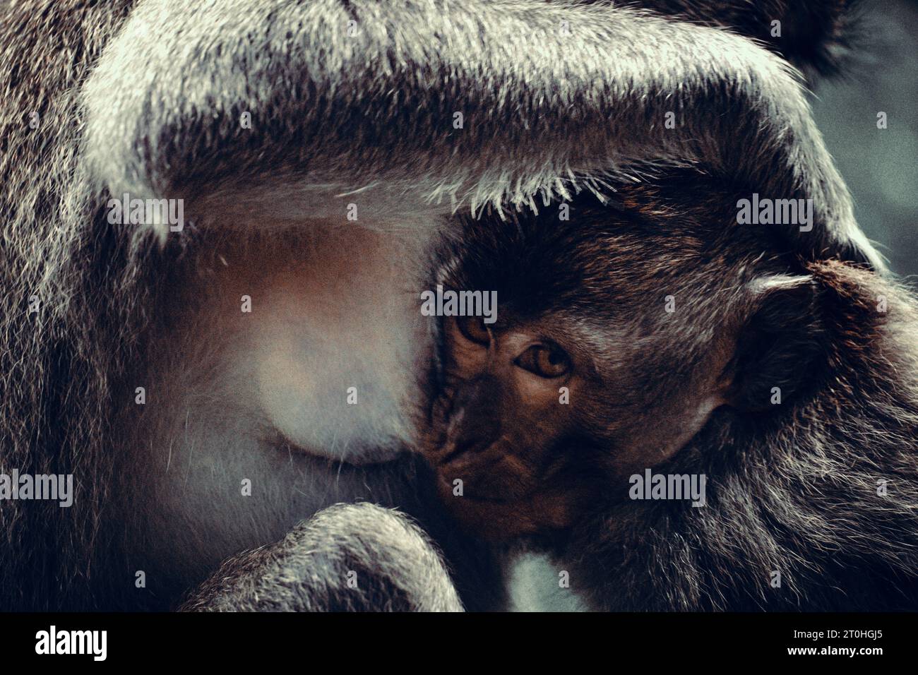 Mother child baby getting hi-res stock photography and images - Alamy